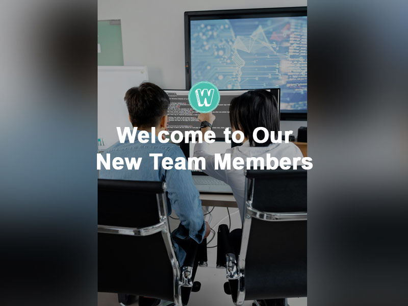 Welcome to Our New Team Members | WOWebsites